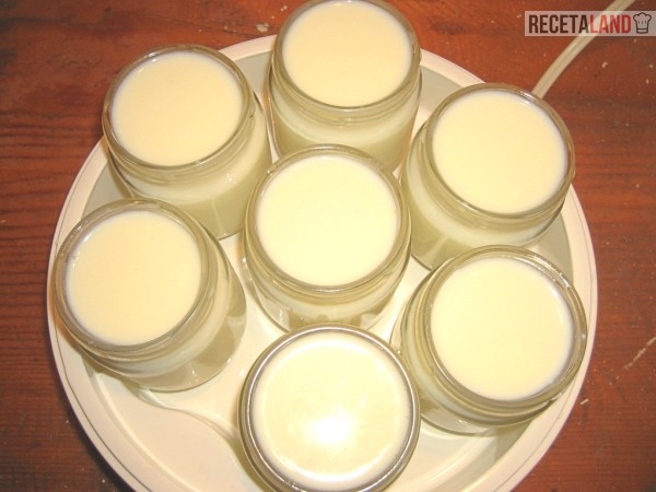 Yogur Natural con Miel ¡Receta Casera & Rápida! | Recetaland